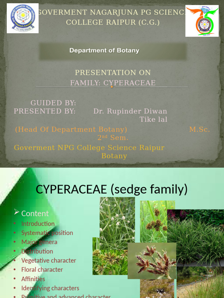 Tike Lal Paper 1 | PDF