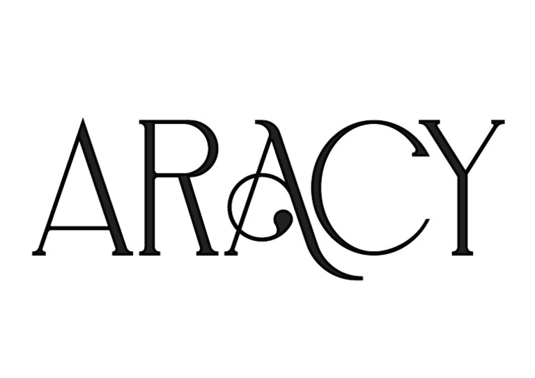 Aracy Logotipo | PDF