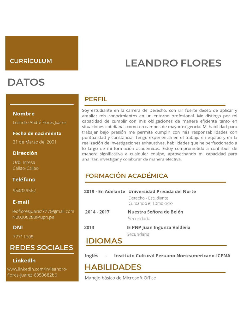 Leandro Flores - Cv. | PDF