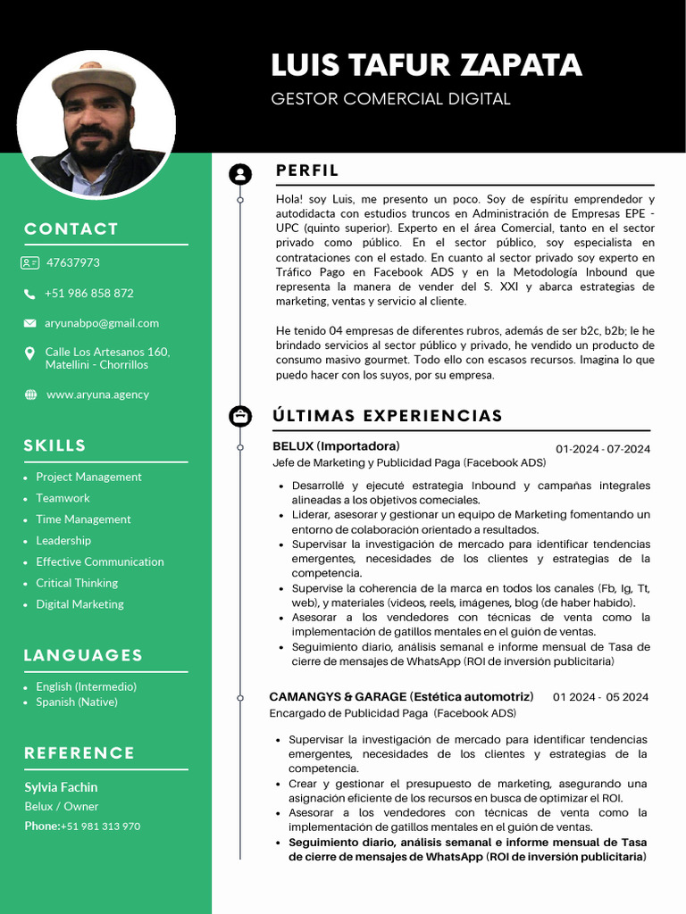 CV_LUIS_TAFUR_08_2024 | PDF