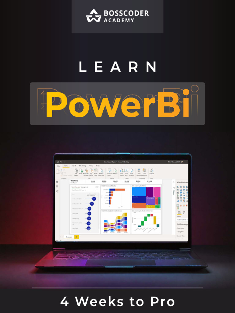 Power Bi Learn in 60 Days | PDF