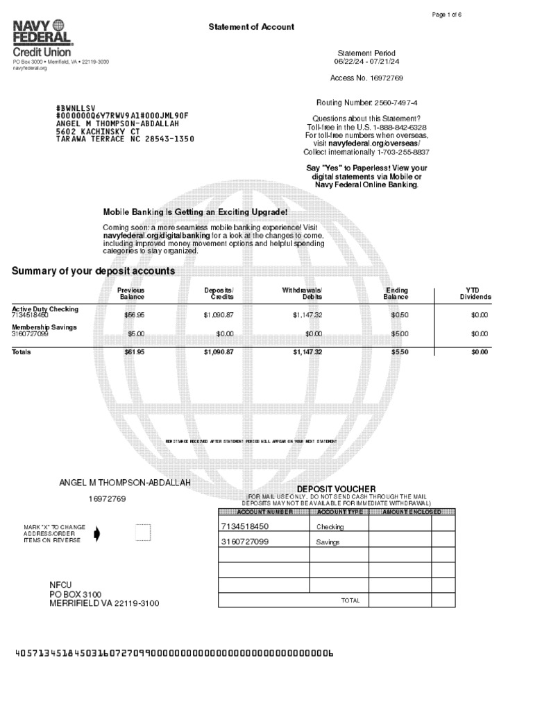 Navy Federal July 2024 Statement | PDF