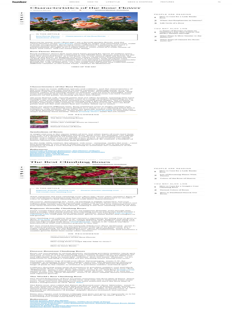 Characteristics of The Rose Flower | PDF