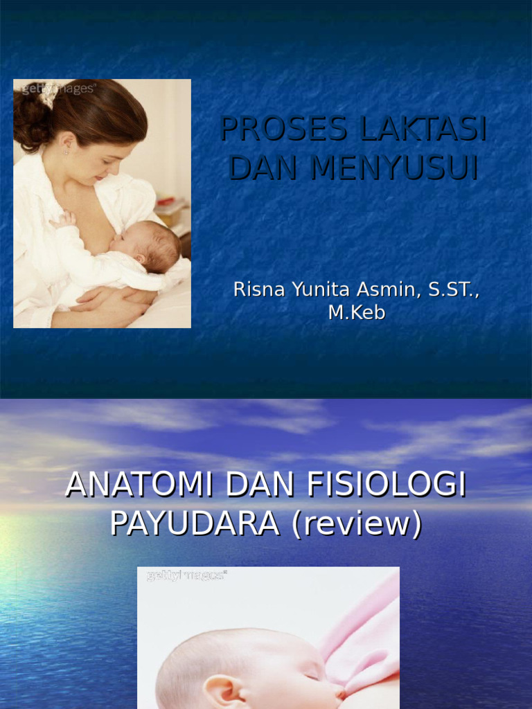 Proses Laktasi dan Anatomi Payudara | PDF | Endocrine System | Wellness