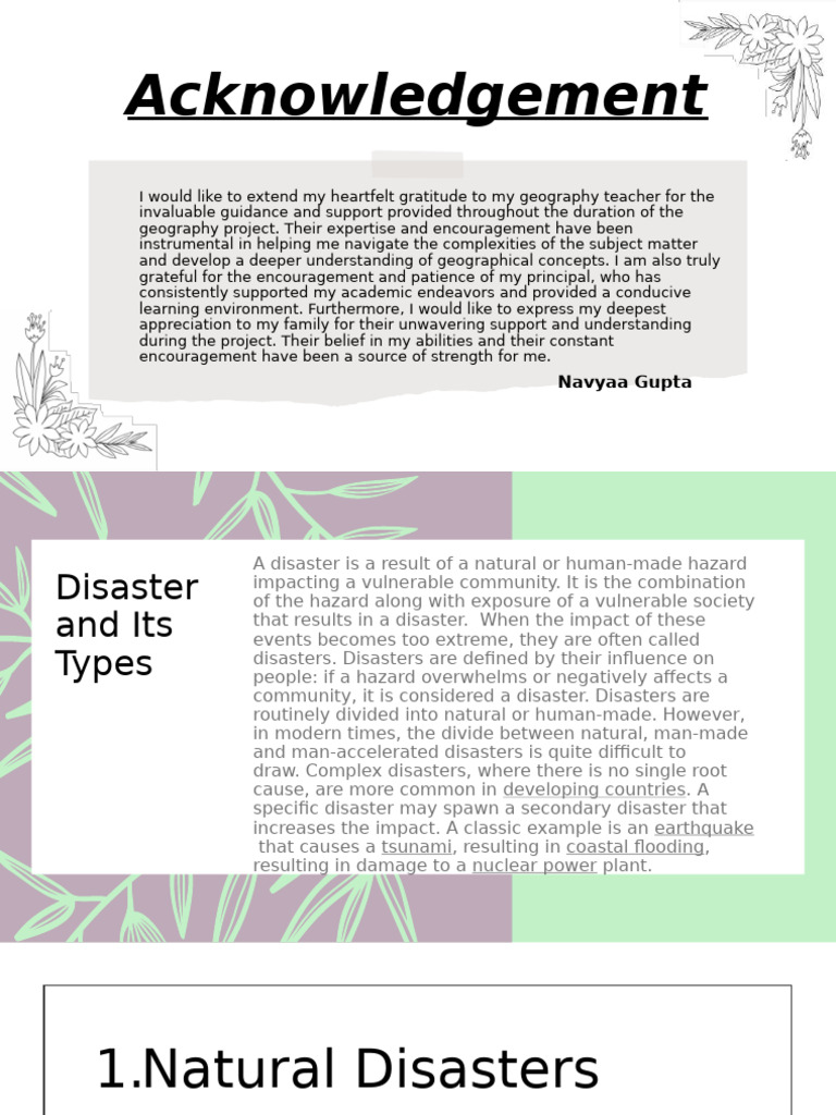 Disaster Management, SST, Geo, Holiday Homework | PDF