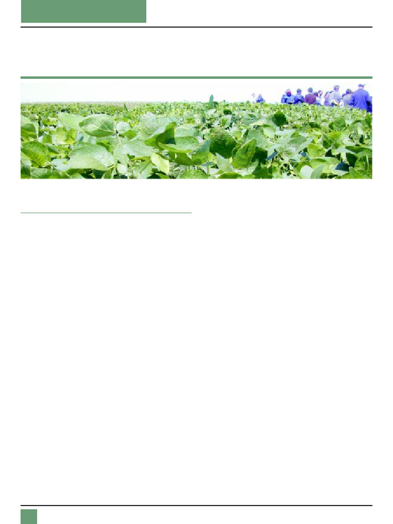 Enfermedades Clave EFC Soja PDF