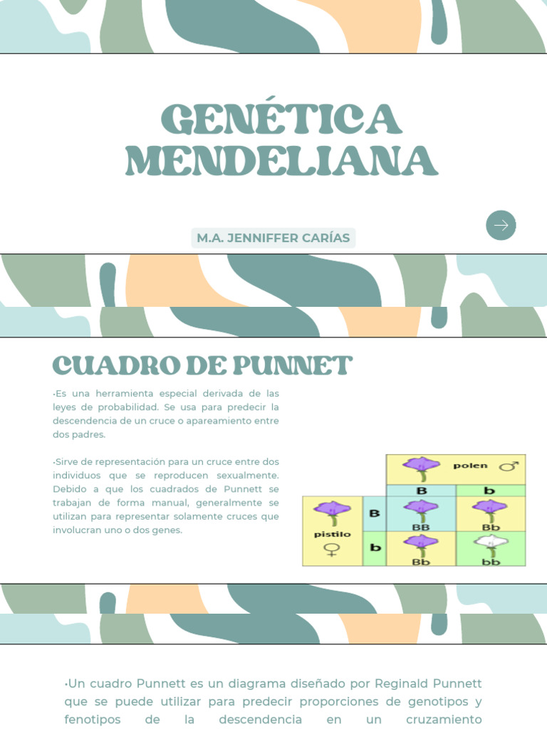 Genética Mendeliana | PDF