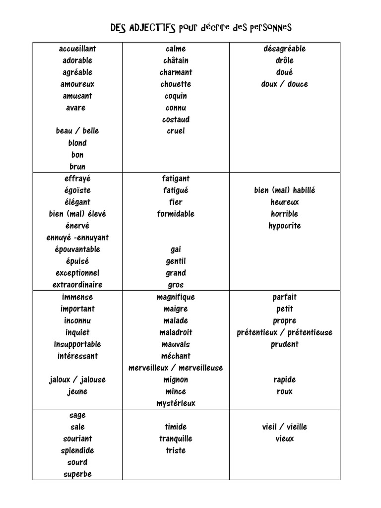 Des Adjectifs | PDF