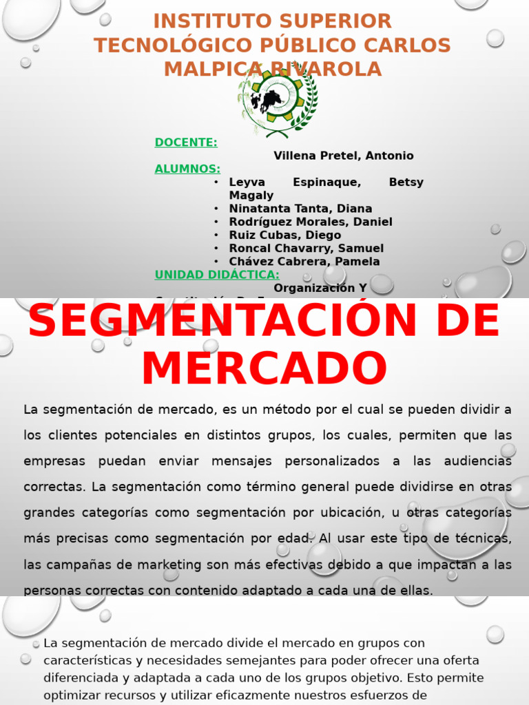 Segmentación de Mercado | PDF