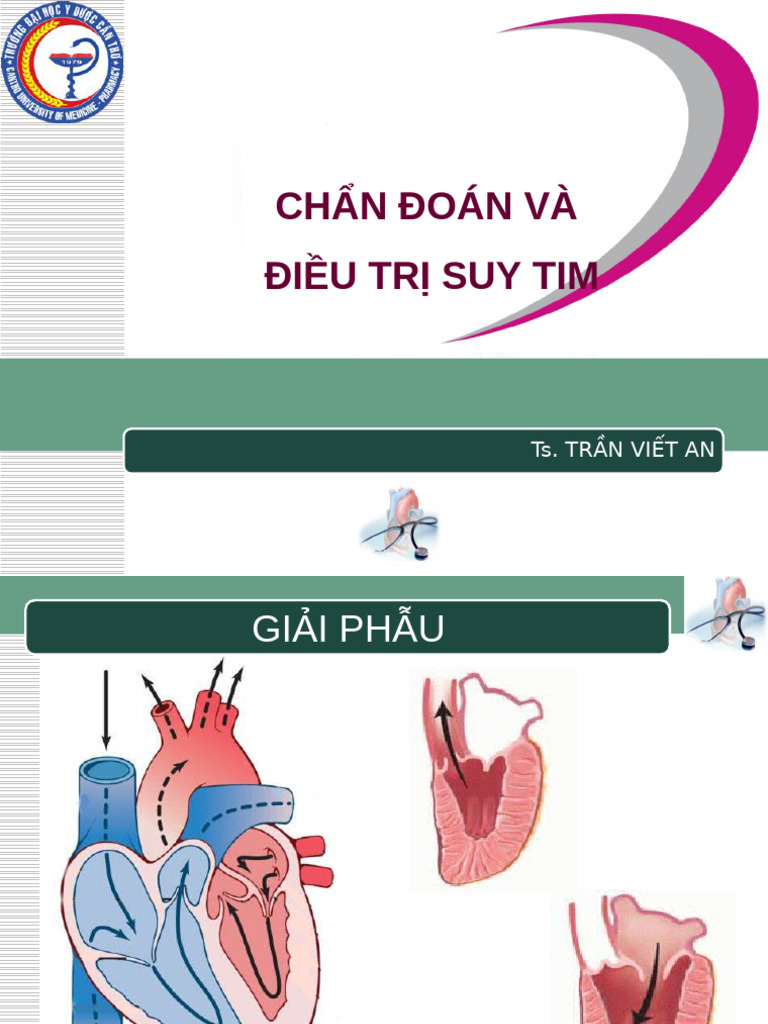 Chan Doan - Dieu Tri Suy Tim | PDF