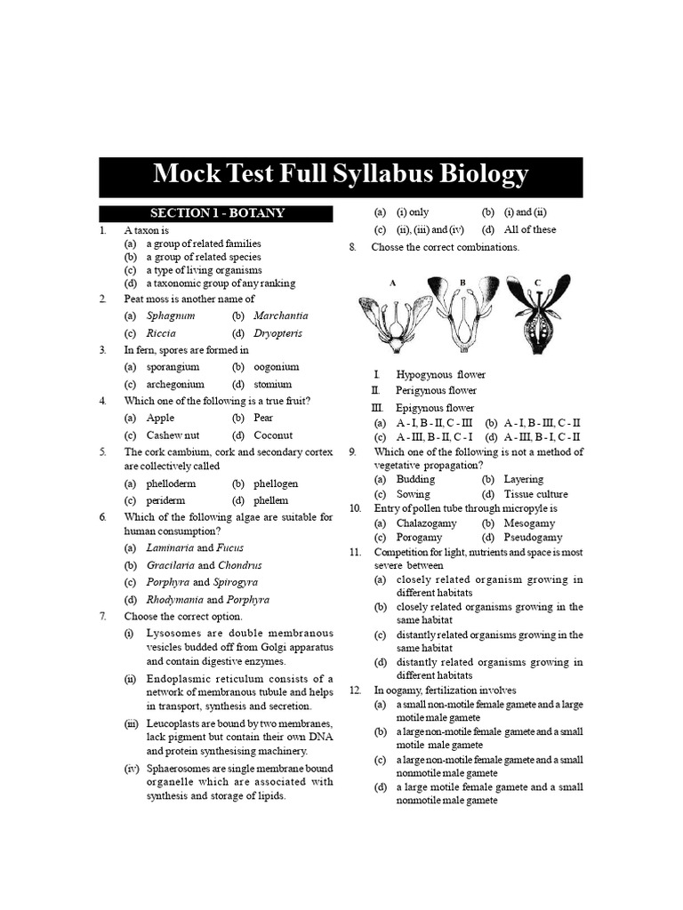 5 YQty I0 PKEk 2 REgh Cmy J | PDF