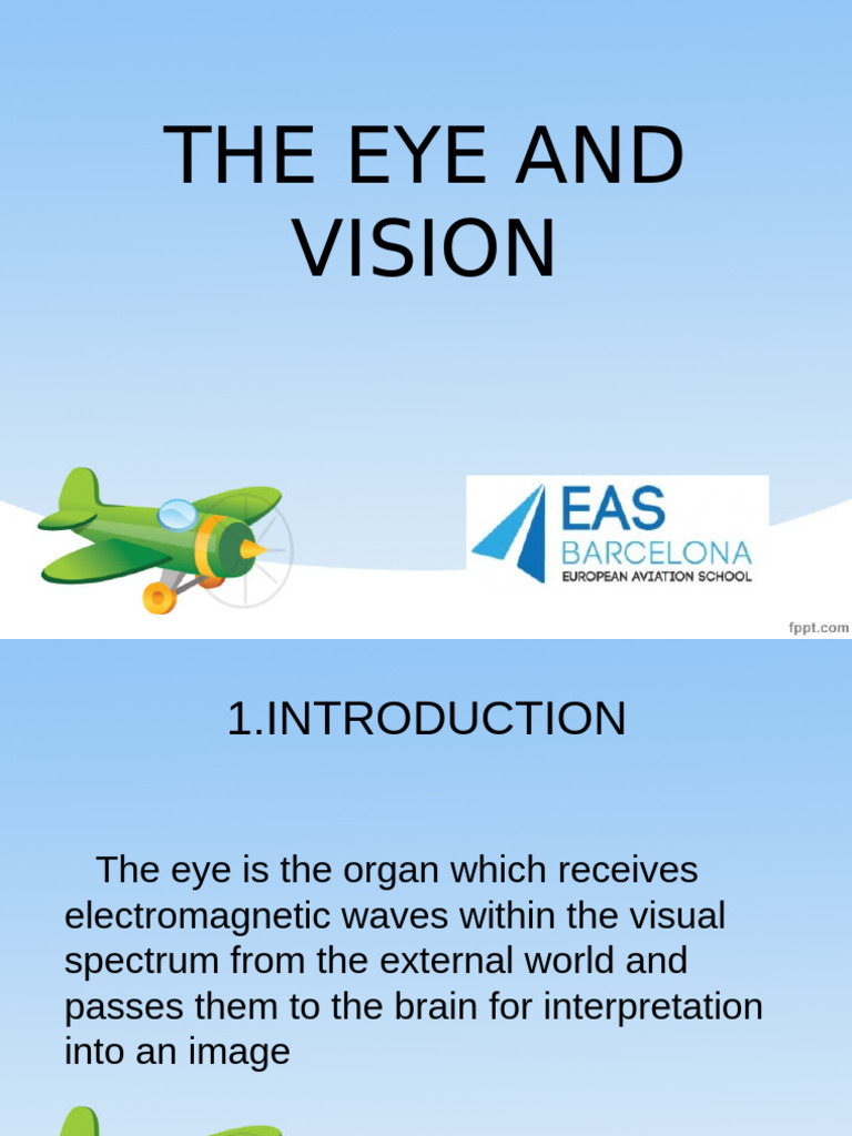 Lesson 6 The Eye and Vision | PDF