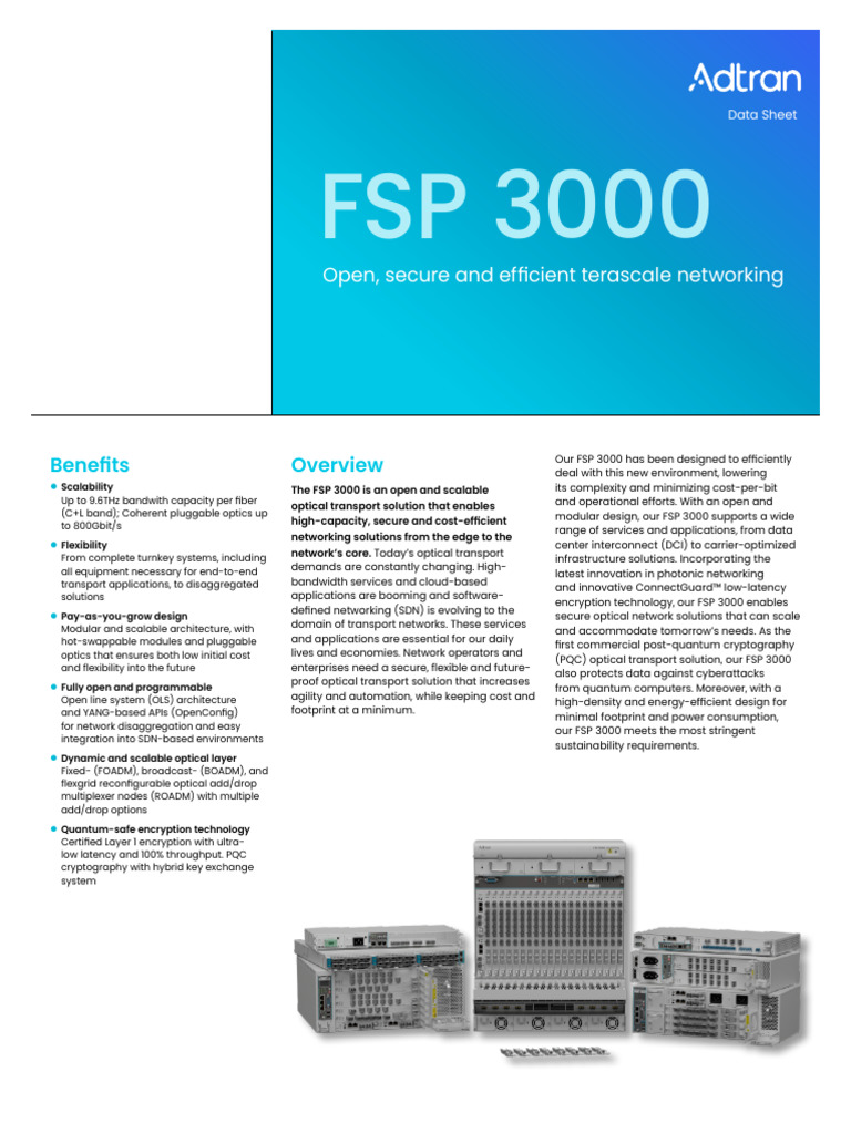 FSP 3000 | PDF