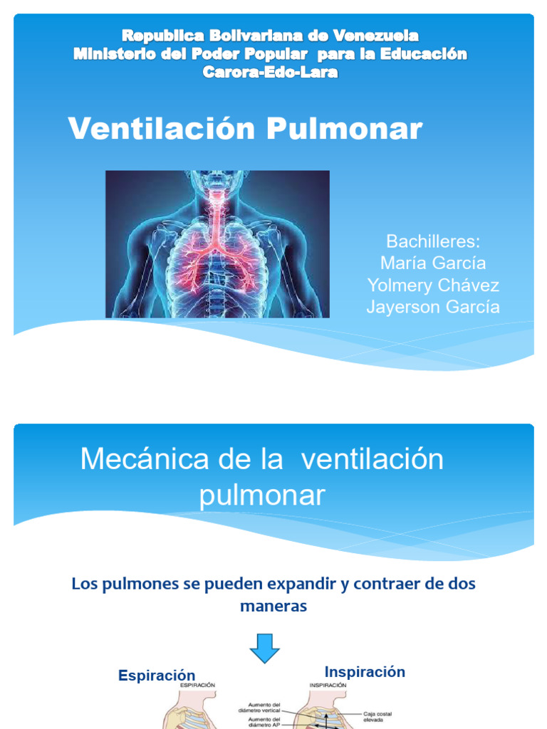 Ventilación Pulmonar | PDF