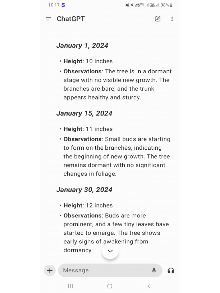 6 Month Report | PDF
