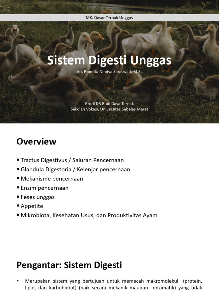 Digesti Unggas - DTU 2024 New | PDF