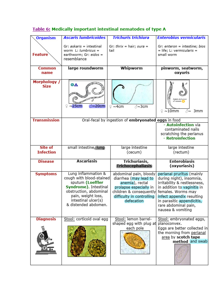 Nematodes | PDF