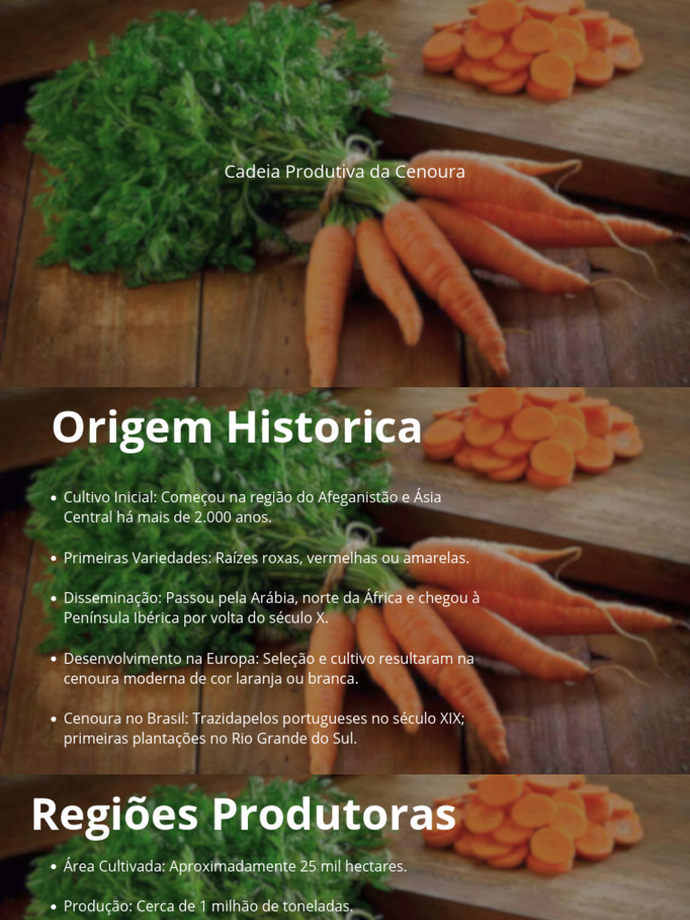 Cadeia Produtiva Da Cenoura | PDF
