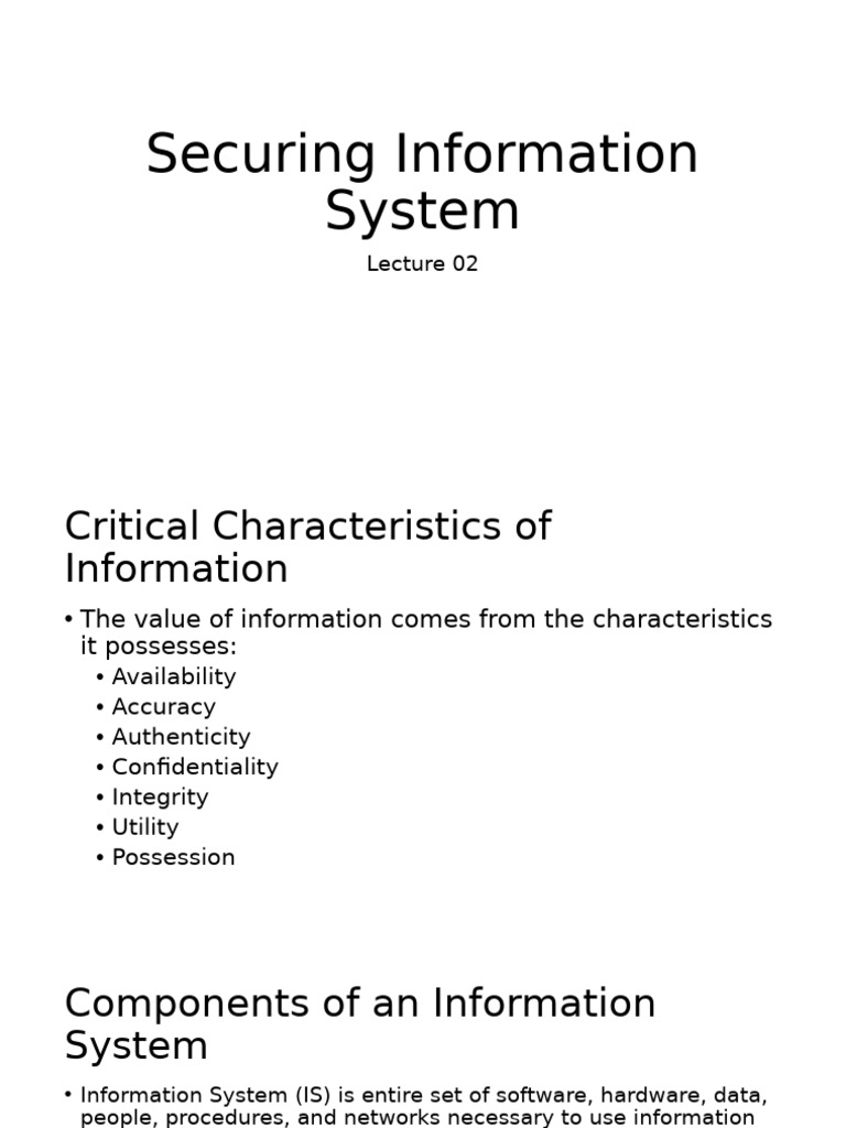 2.securing Information System | PDF