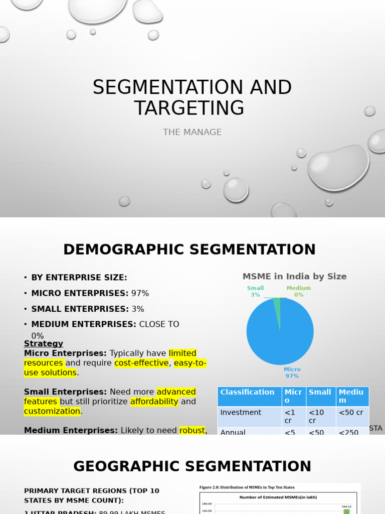 MANAGE Segmentation and Targeting | PDF