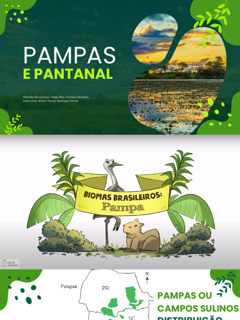 Pampas e Pantanal Biomas Slide | PDF | Jaguar | Esquilo