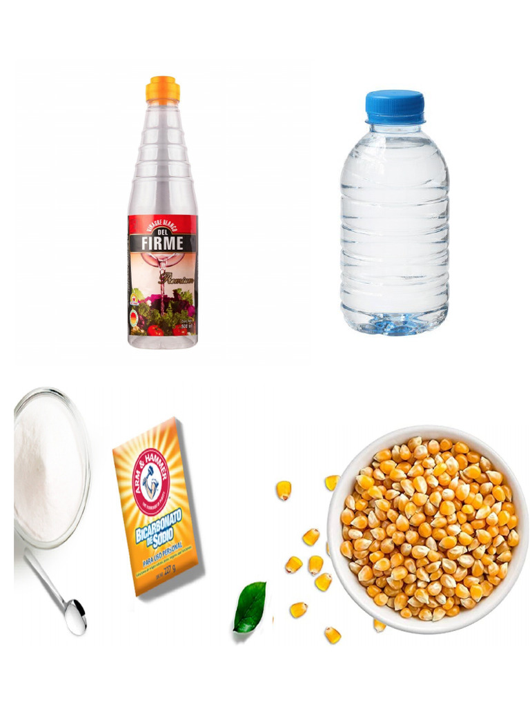 Documento Maíz Bailarin | PDF