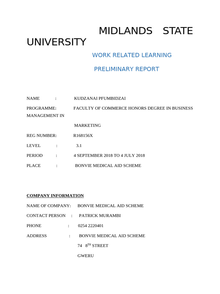 Preliminary Report | PDF