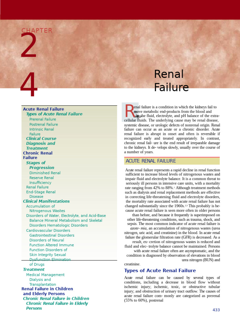 Pathophysiology of Renal System | PDF | Kidney | Chronic Kidney Disease