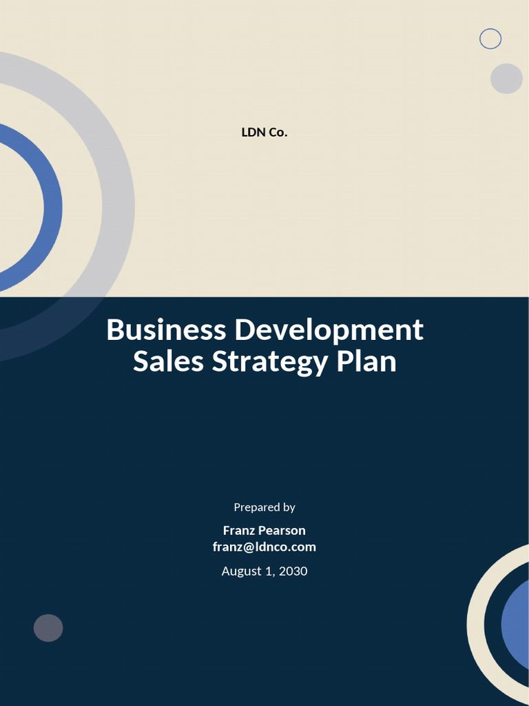 Business Development Sales Strategy Plan Template | PDF
