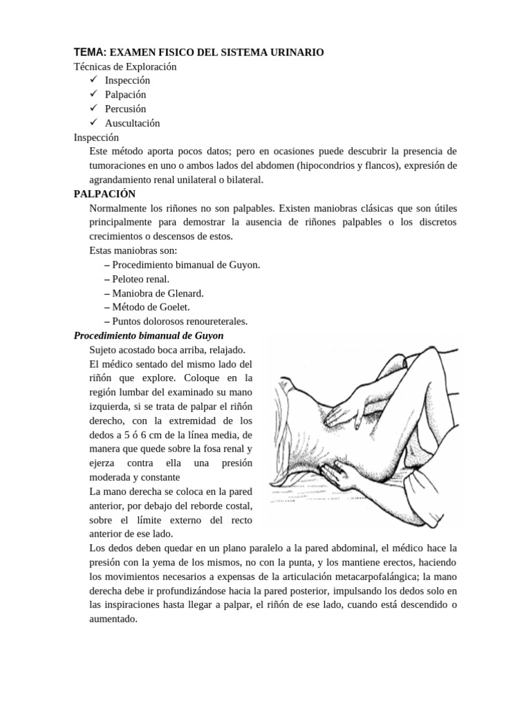 Tema #13 Examen Fisico Sistema Urinario | PDF