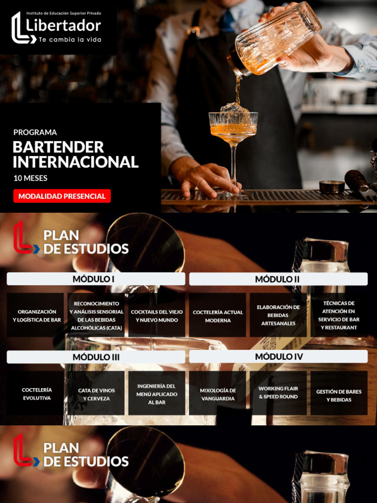 Brochure Bartender | PDF