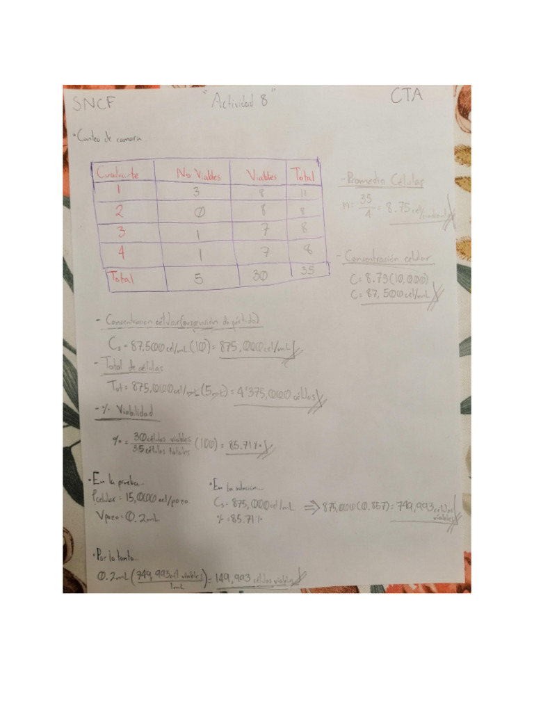 Actividad 8 SNCF | PDF