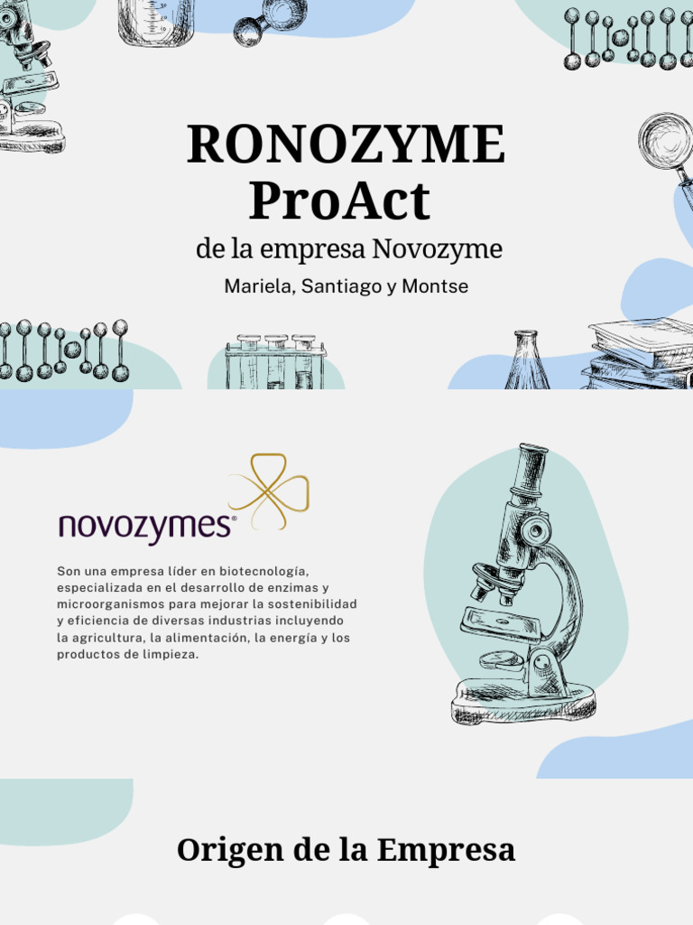 Presentacion Final | PDF