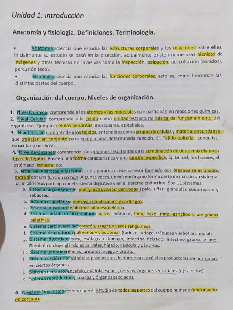 Apuntes Anatomía Pdf