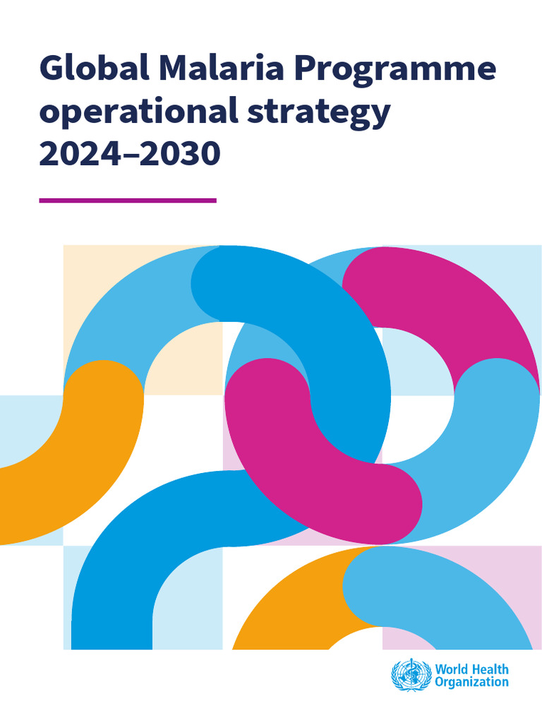 GMP Operational Strategy 2024-2030 | PDF