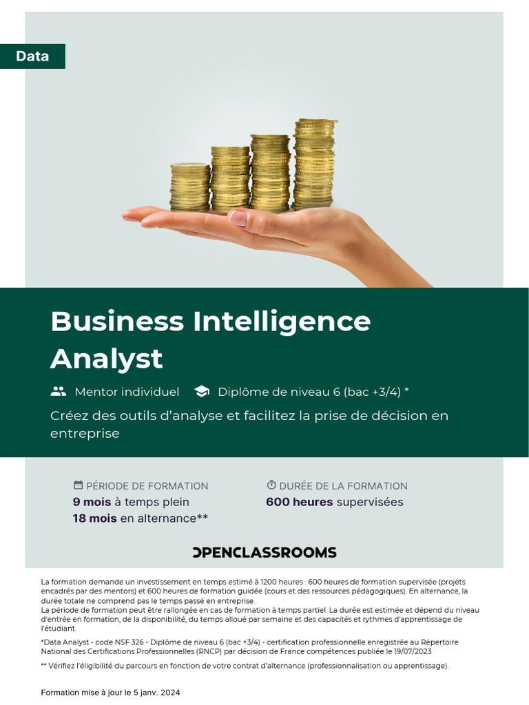 Business Intelligence Analyst | PDF