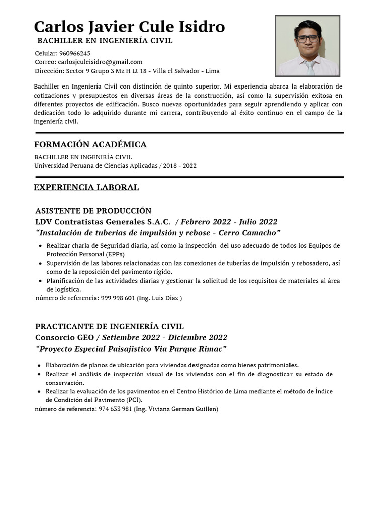 Carlos Cule CV | PDF