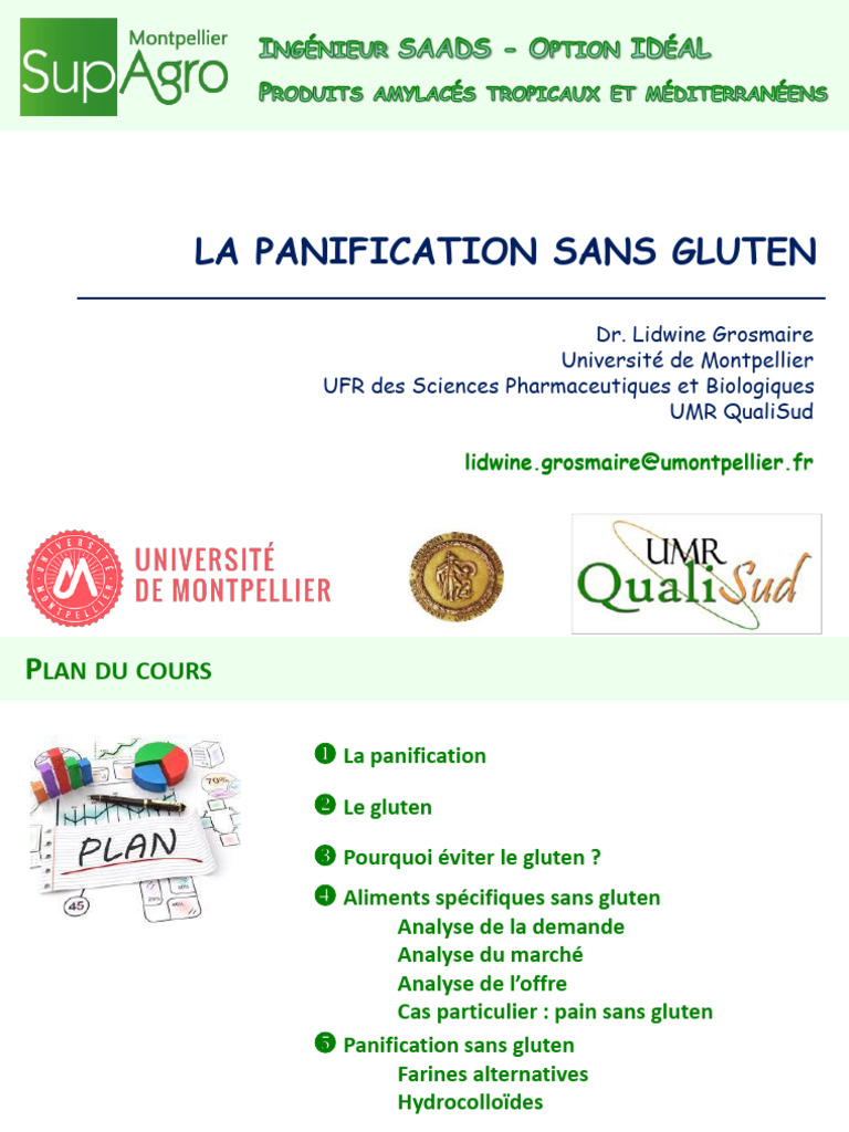 CM Panif Sans Gluten L Grosmaire 2023-2 | PDF