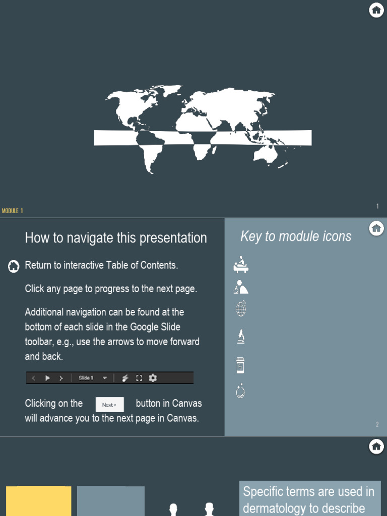OpenWHO TropDerm Module 1 Terminology en | PDF