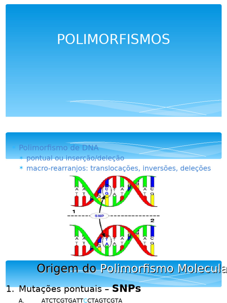 Aula 8 - Polimorfismo | PDF