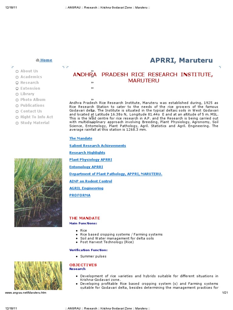 ANGRAU Research Krishna Godavari Zone Maruteru | PDF | Rice | Soil