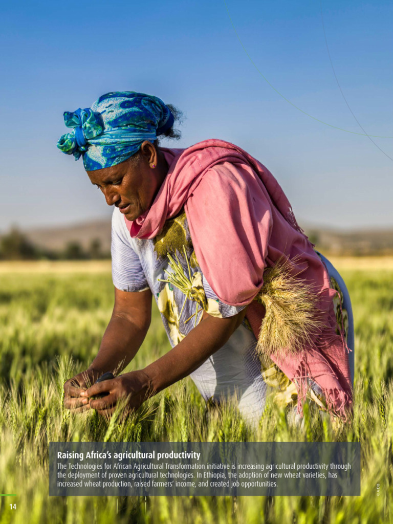 Chap2-Ader 2021 en v15 | PDF