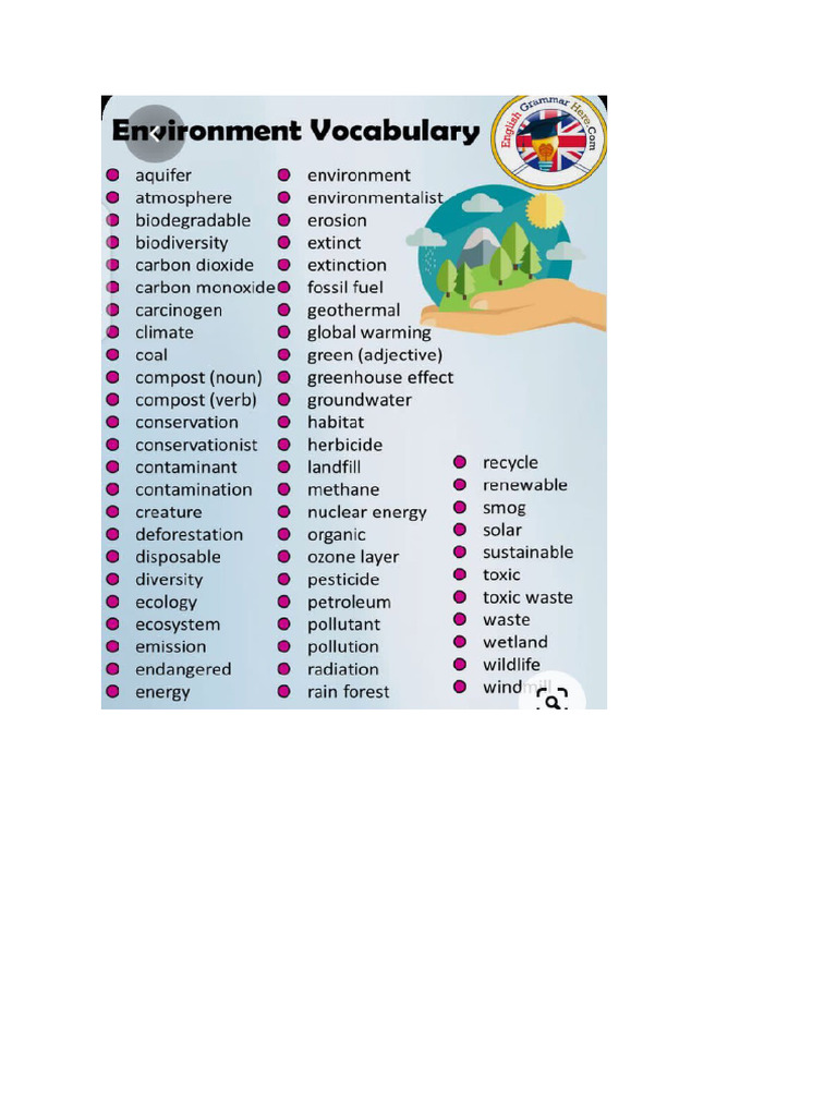 The Environment Vocabulary | PDF