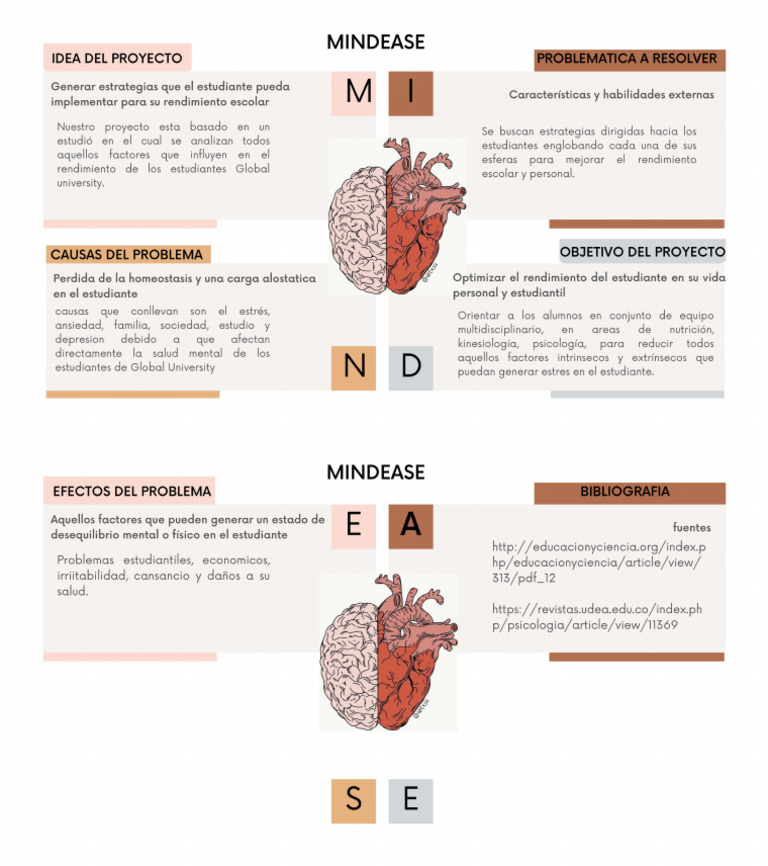Matriz Análisis Dafo Foda Presentación Plan De Negocios Pdf