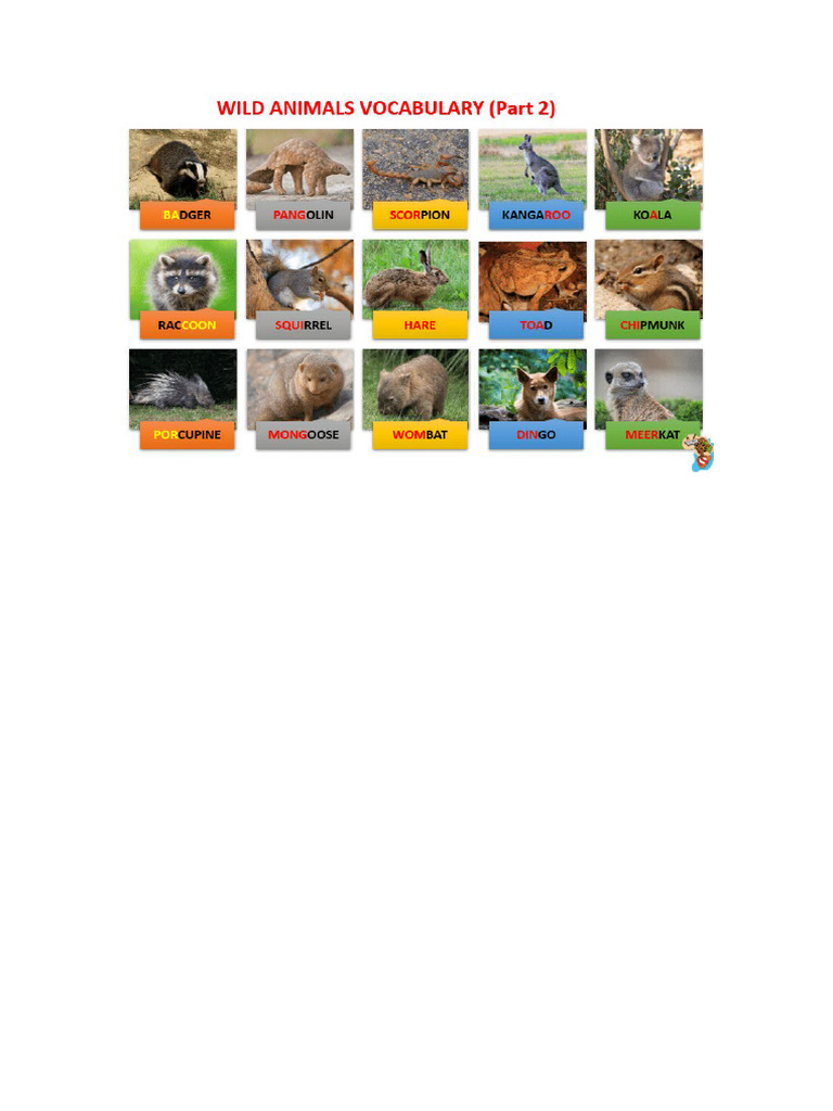 Wild Animals 2 | PDF