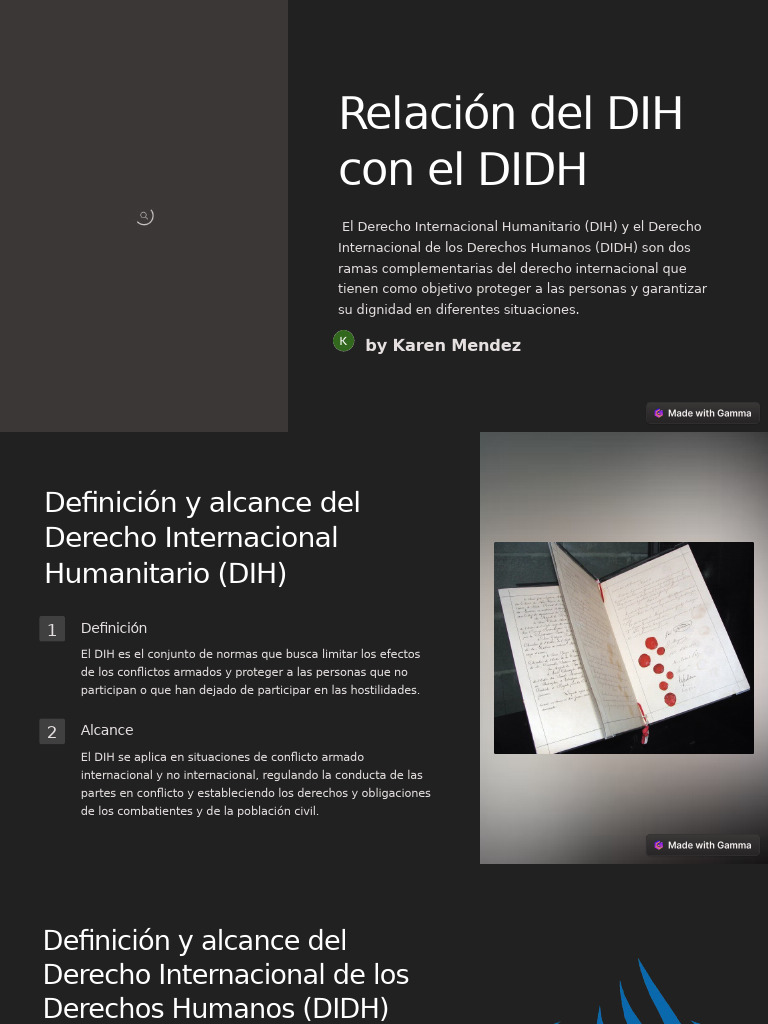 Relacion Del DIH Con El DIDH | PDF