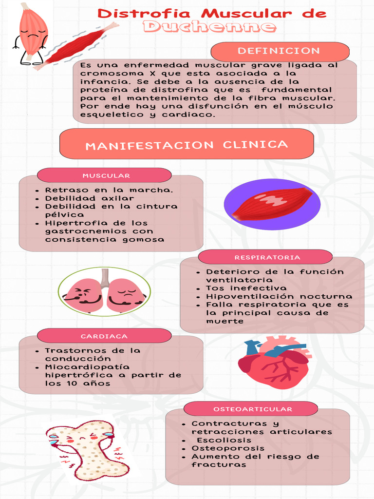 Infografia Distrofias Musculares | PDF