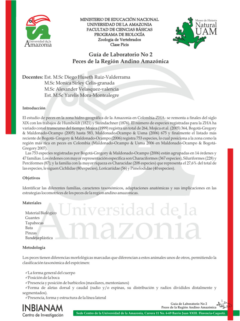 Guia No 2 Peces - Merged | PDF