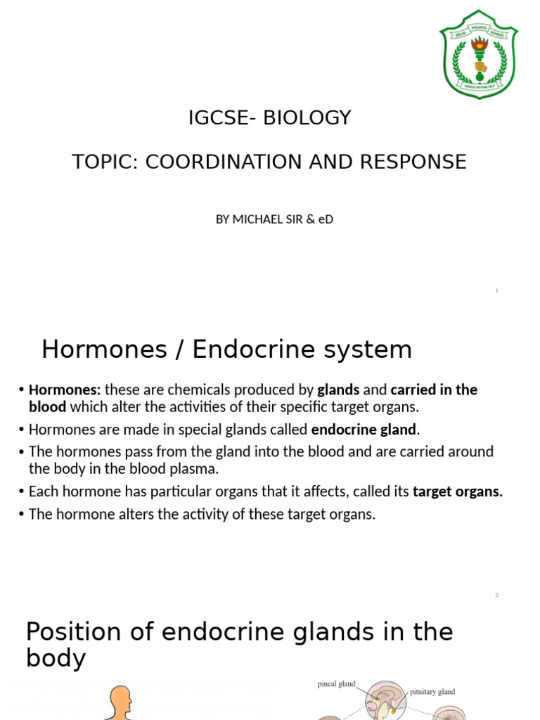 ENDOCRINE SYSTEM -COORDINATION AND RESPONSE | PDF