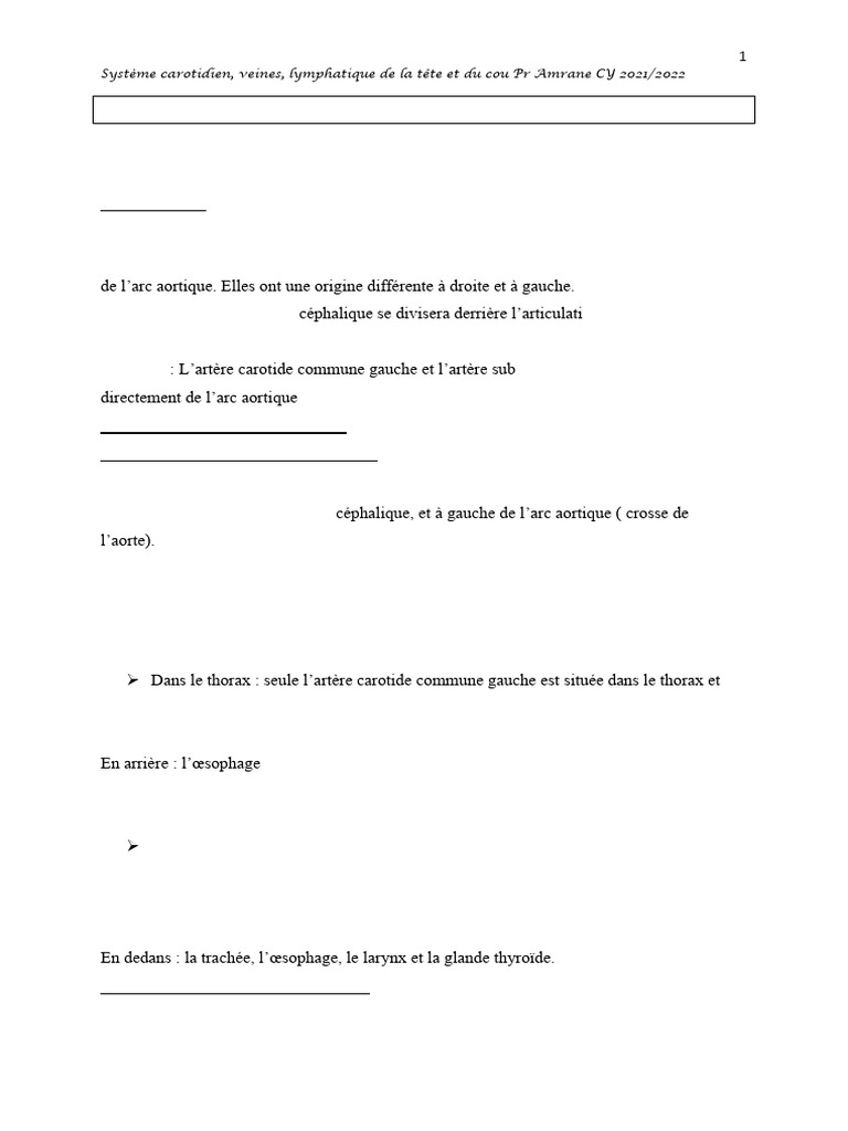 Le Système Carotidienpr Amrane 2022 Converti1 | PDF
